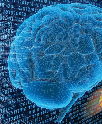 Este cientista descobriu uma forma simples e barata de turbinar seu cérebro